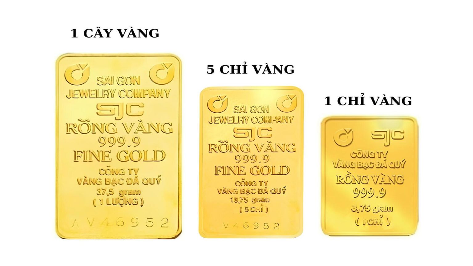 1 cây vàng bao nhiêu chỉ? 1 cây vàng bao nhiêu gam, kg, oz?