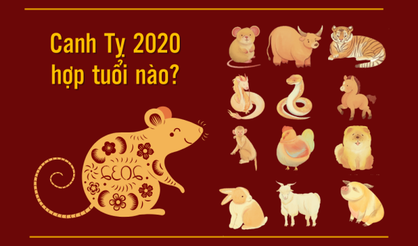 Sinh năm 2020 mệnh gì, hợp màu gì? Luận giải Bích Thượng Thổ