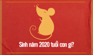 Sinh năm 2020 mệnh gì, hợp màu gì? Luận giải Bích Thượng Thổ