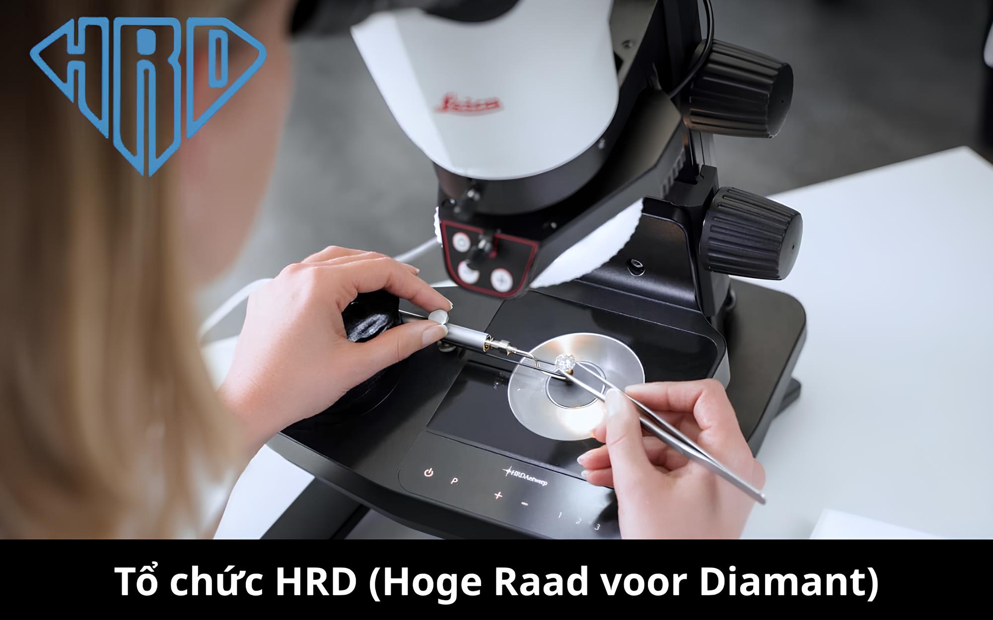 Giấy chứng nhận kim cương HRD Diamond Certificate Check
