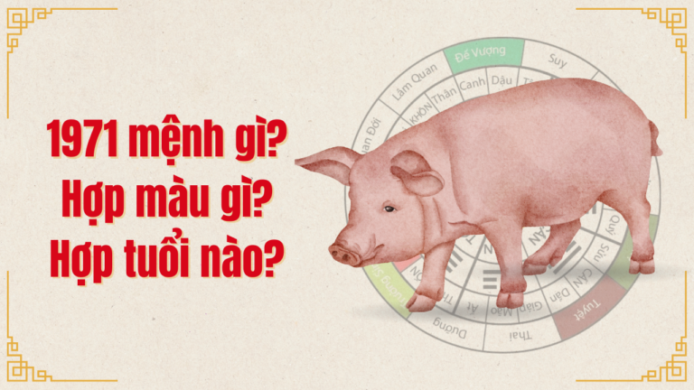 1971 mệnh gì? Nam nữ Tân Hợi 1971 hợp màu gì hợp tuổi nào?