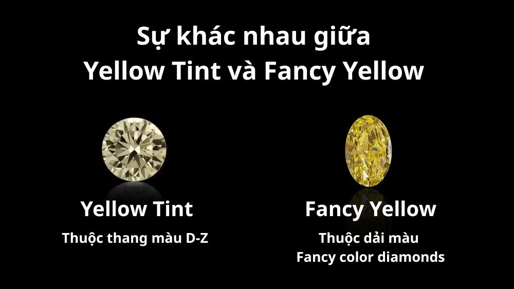 Sự khác biệt giữa kim cương yellow tint và fancy yellow