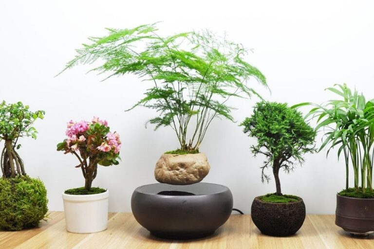 Quà tân gia nên tặng gì? 15 gợi ý quà ý nghĩa & sang trọng