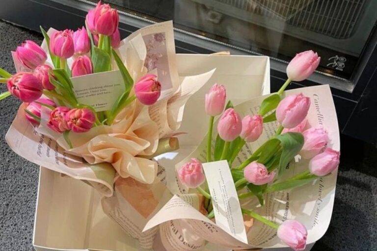 Hoa tulip hồng: Ý nghĩa, nguồn gốc và khi nào nên tặng?