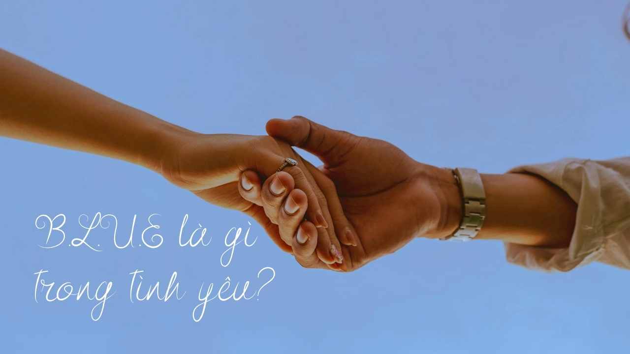 ROE là gì? Cách tính tỷ suất lợi nhuận trên vốn chủ sở hữu