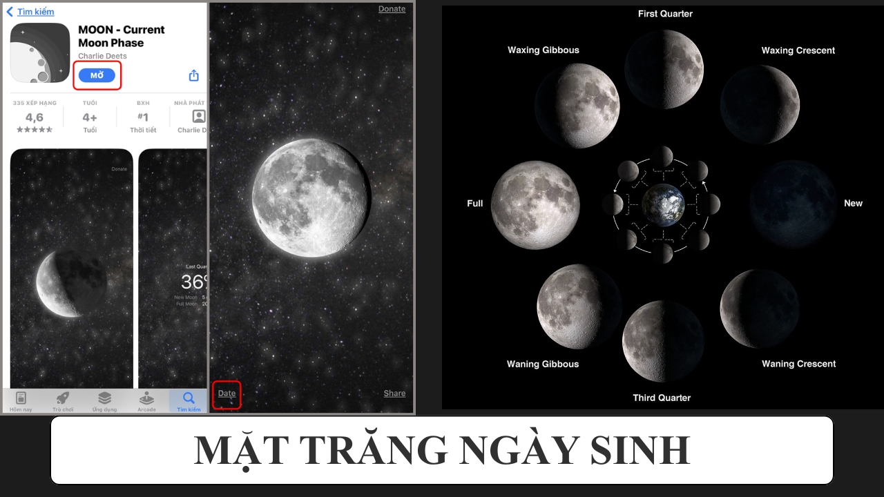 Tấm Séc là gì? Quy định và cách thanh toán bằng séc là gì?